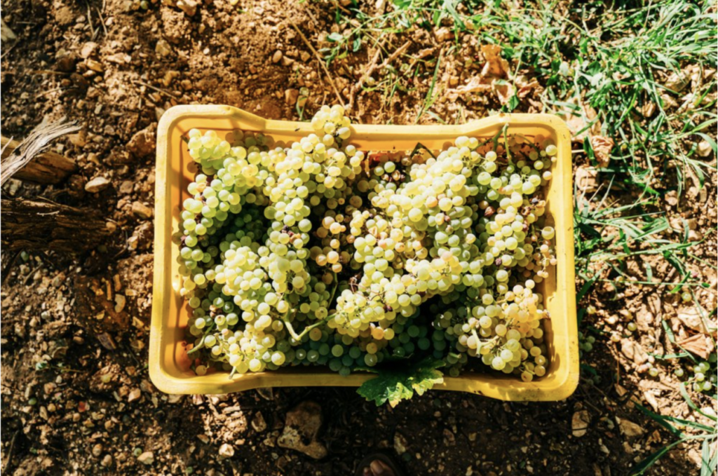 Puglia: The Heel of Italy’s Boot is Delightfully Different - Luxury ...